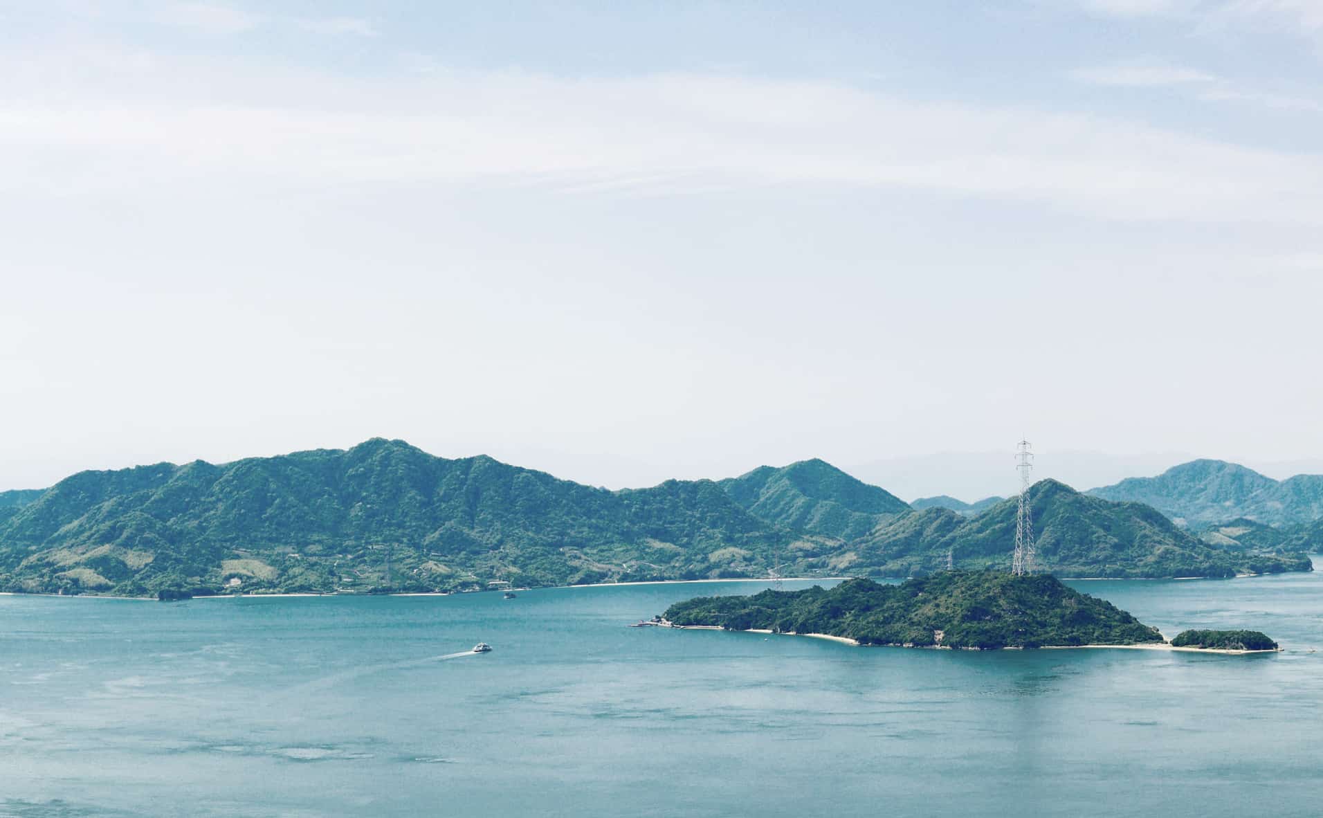 Blog | Bartok design Co.